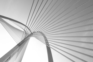 Homepage - MS Transverse Insurance Group