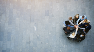 Homepage - MS Transverse Insurance Group